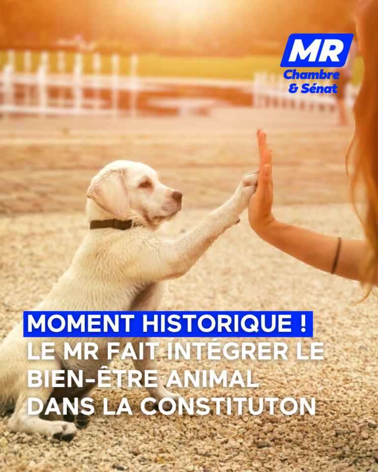 Nous faisons intégrer le bien-être animal dans la Constitution ...